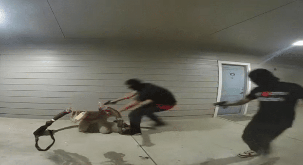 Video captures moments armed robbers hold man up for his posessions ...