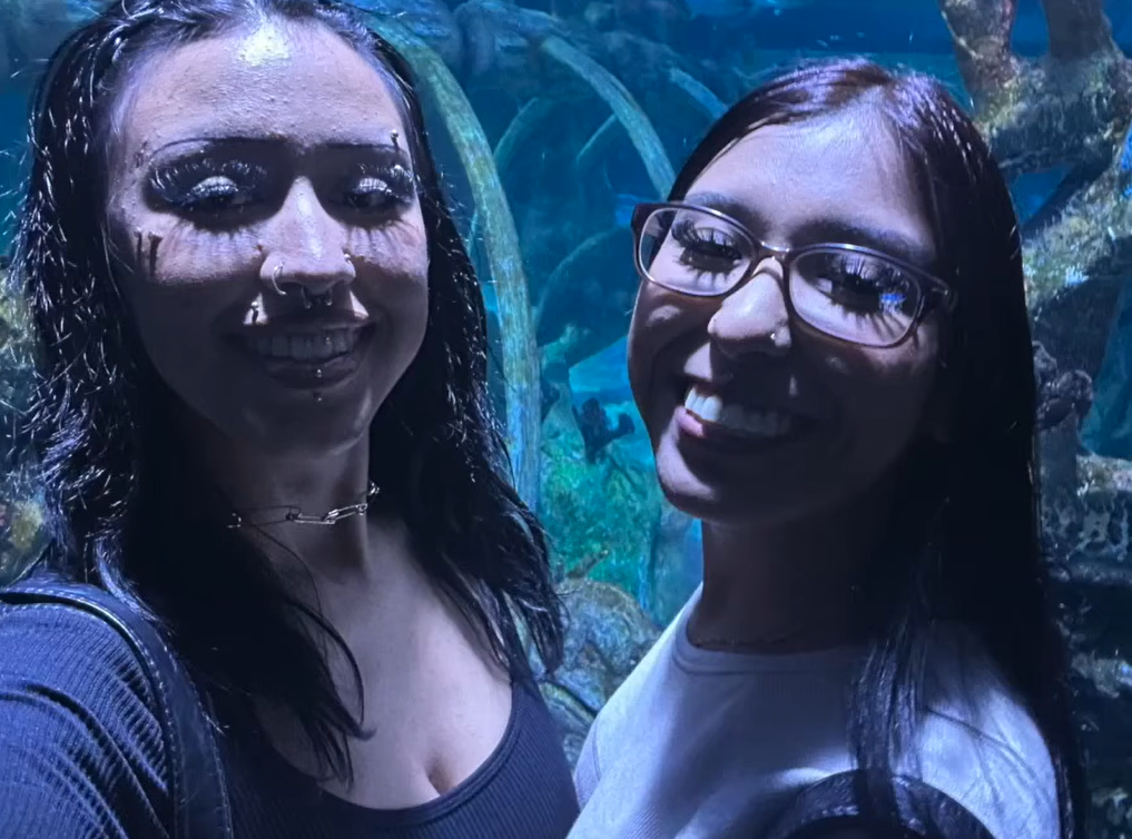 Dozens charged in SNAP trafficking and fraud probe - Absolute News